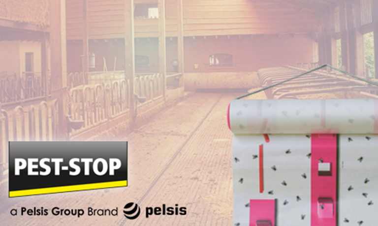 News - Page 4 of 6 - Pelsis